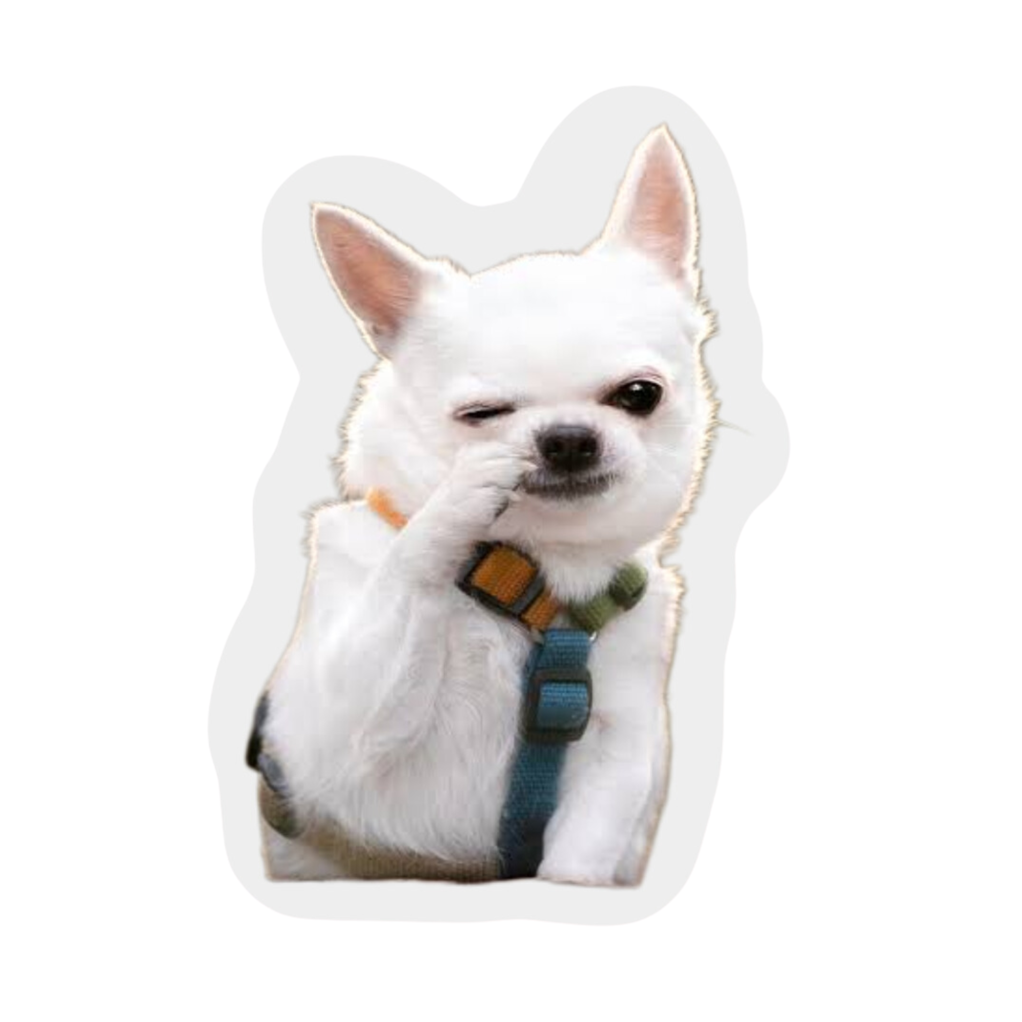 Personalized travel pillow – Pillow Factory